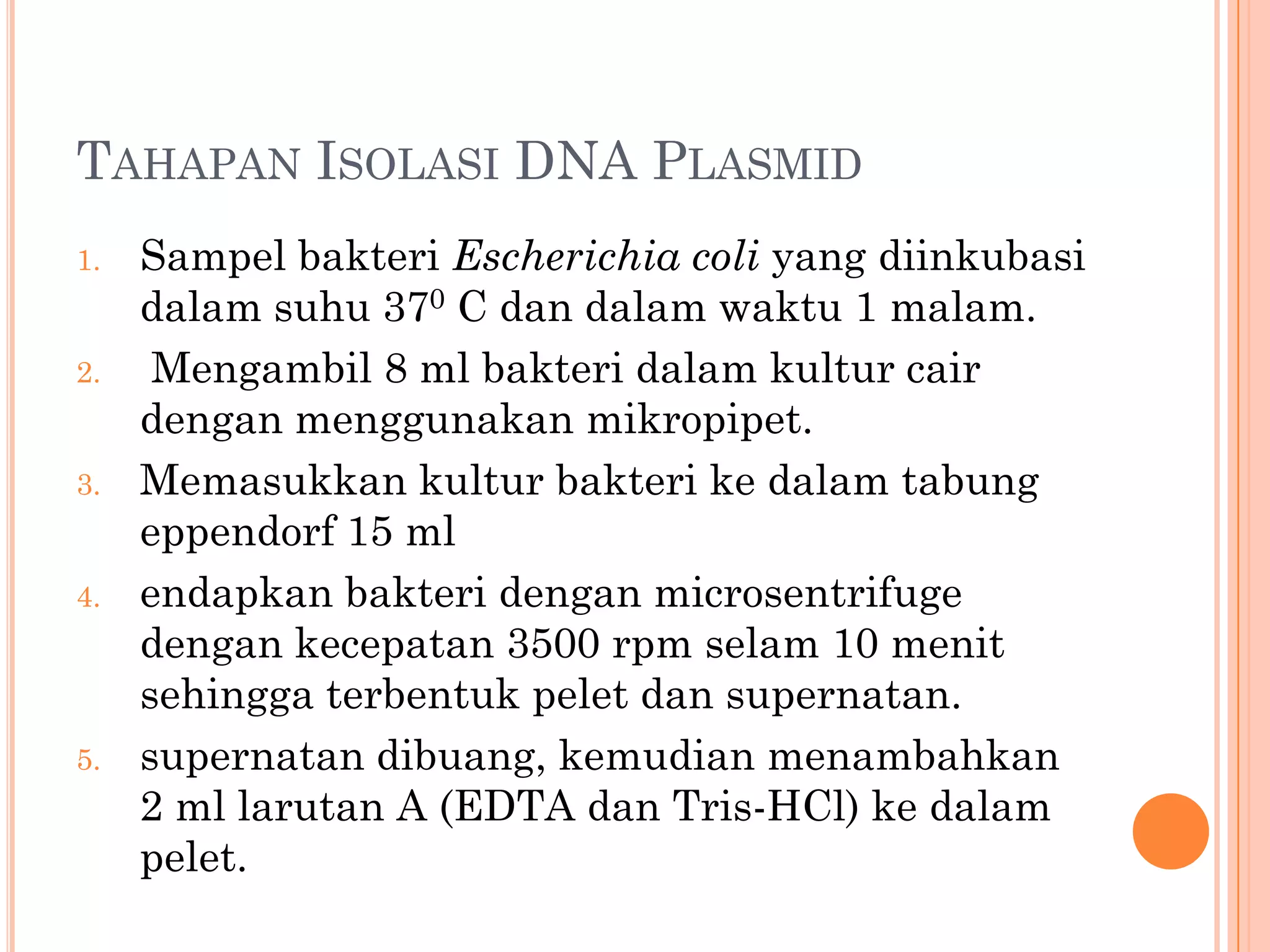 ISOLASI_DNA_PLASMID_By_Amrullah_Mukhtar.pdf