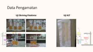 Isolasi piperin b3 fitokimia | PPT
