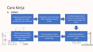 Isolasi piperin b3 fitokimia | PPT