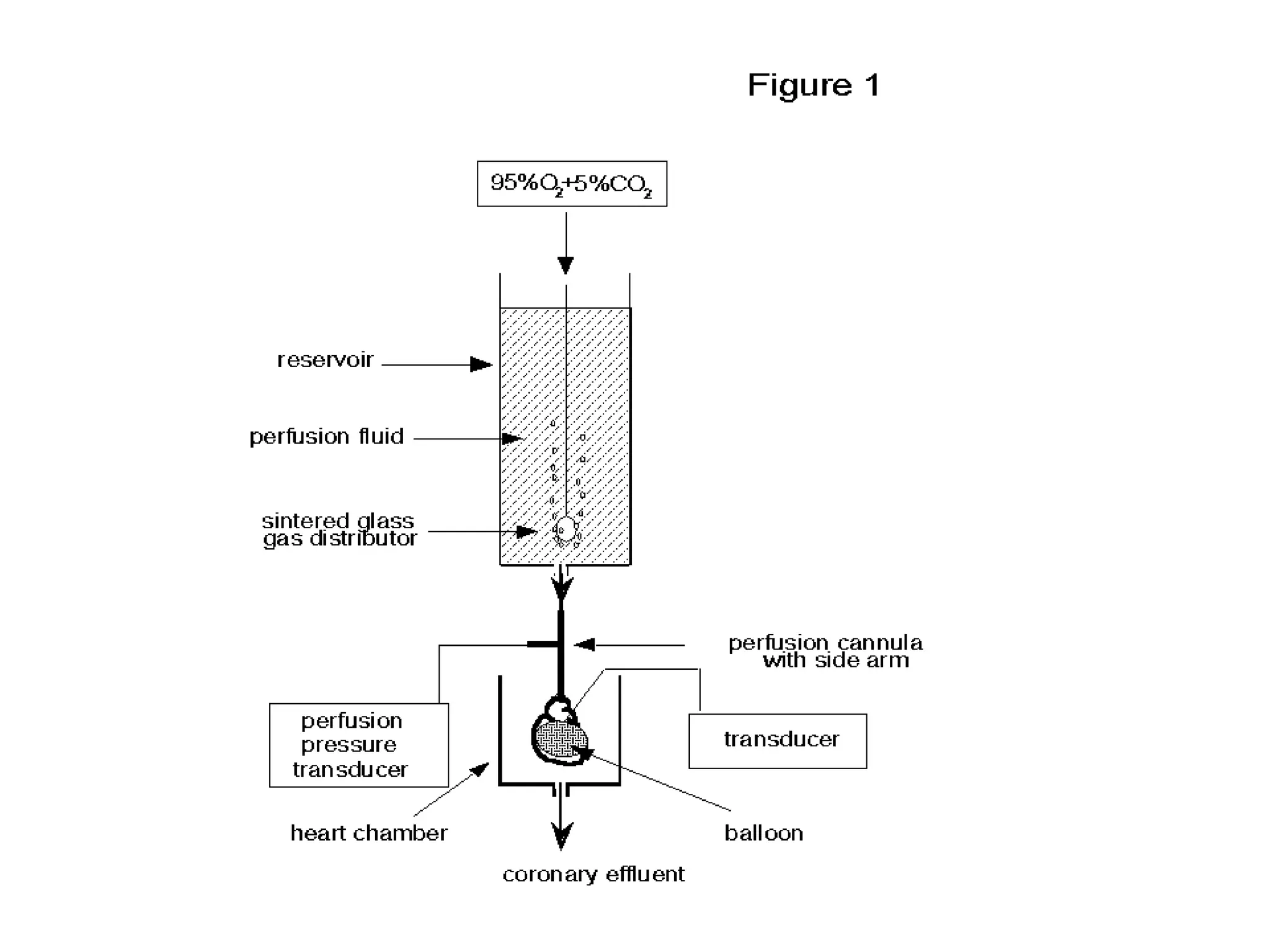 Isolated tissue preparation | PPTX