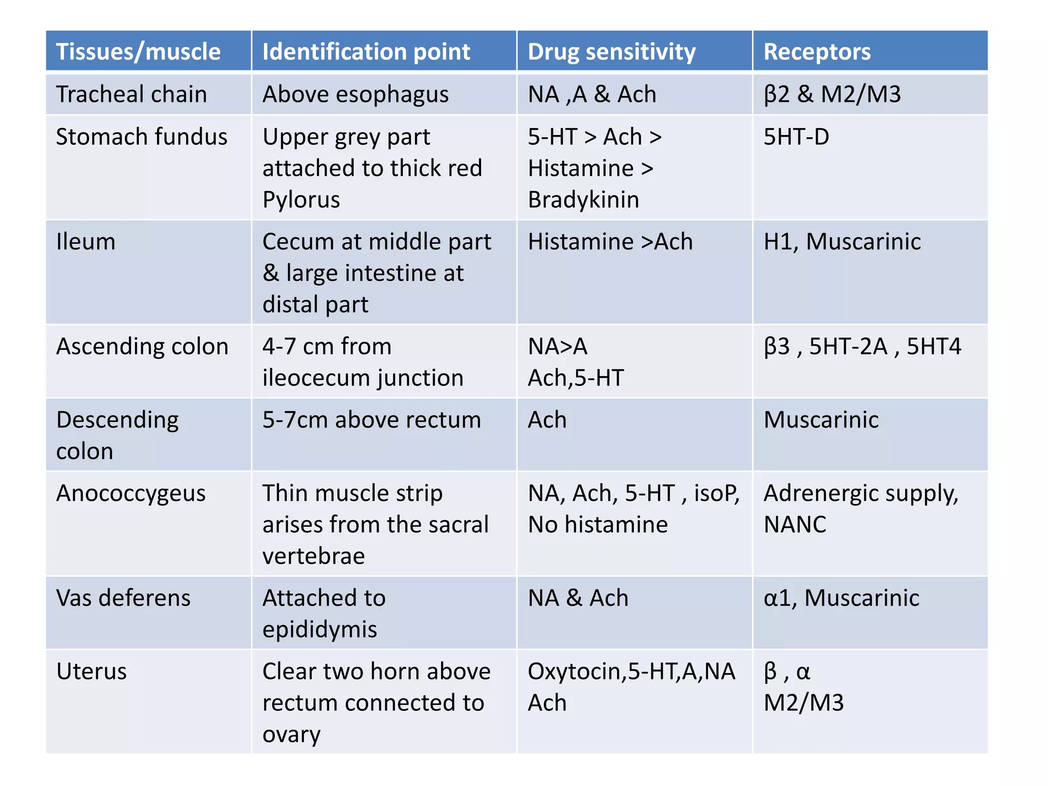 Isolated tissue preparation | PPTX