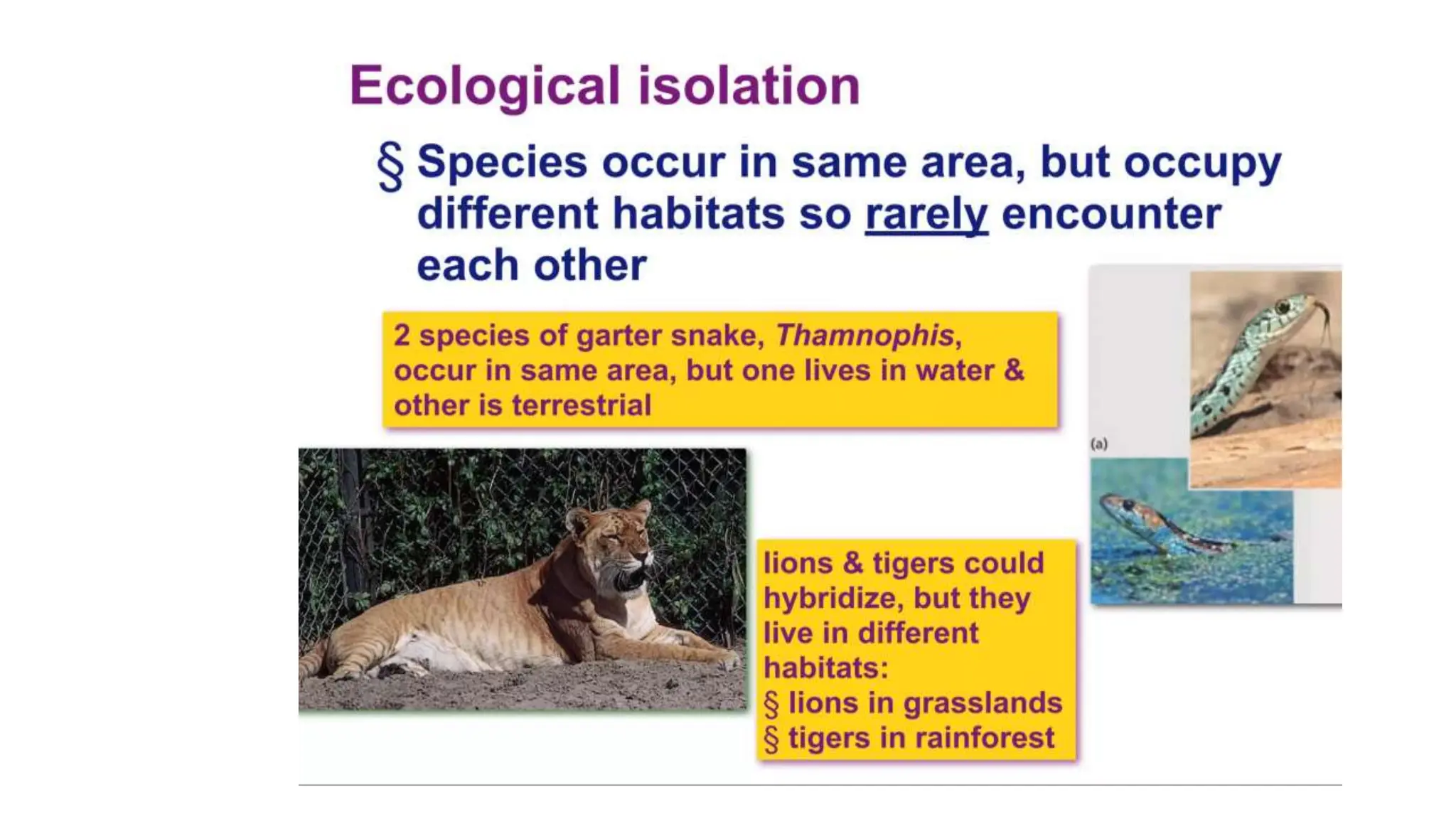Isolating mechanism.pptx