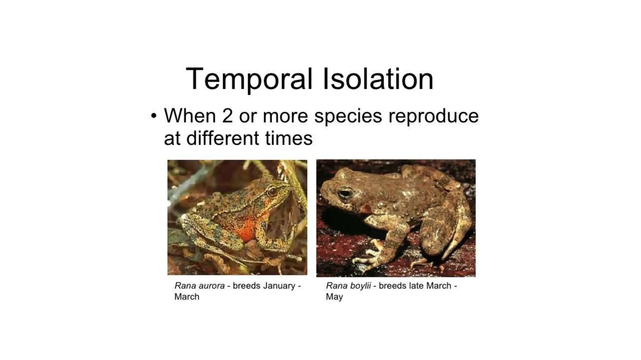 Isolating mechanism.pptx