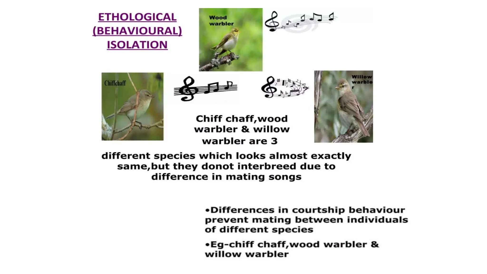 Isolating mechanism.pptx