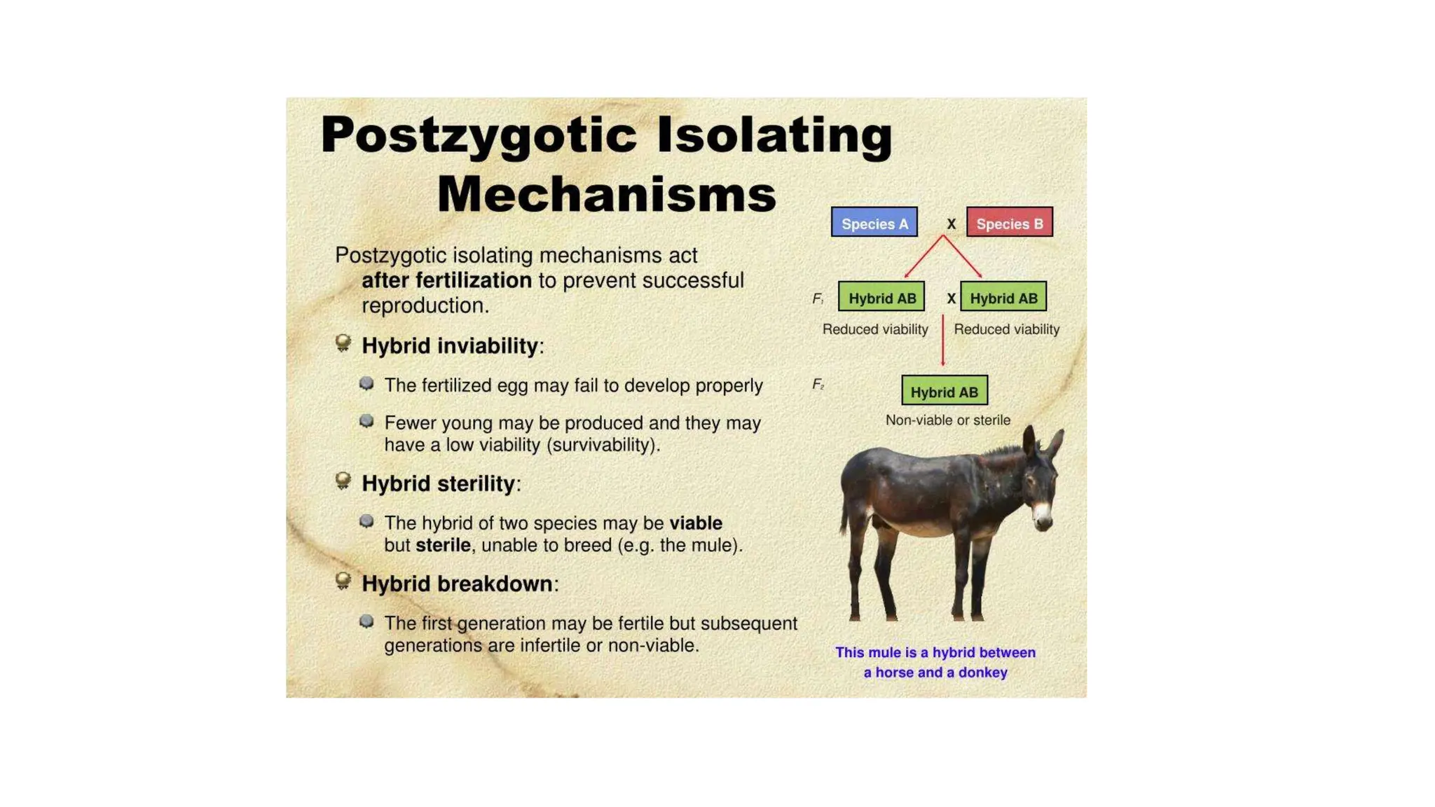 Isolating mechanism.pptx