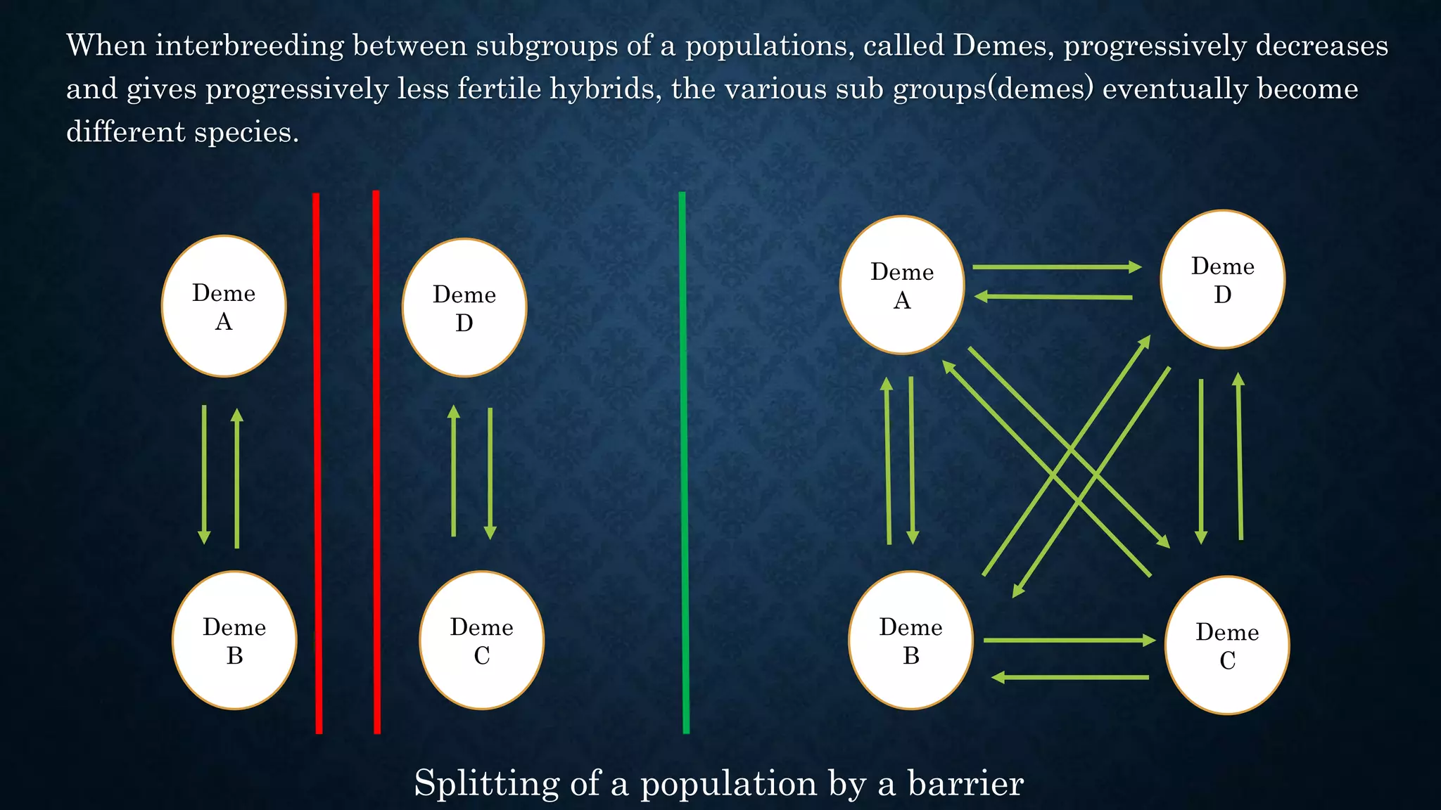 Isolating mechanism and speciation in time 1 | PPTX