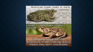 Isolating mechanism and speciation in time 1 | PPTX