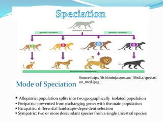 Geographic Isolation Examples