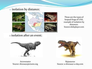 Geographic Isolation Examples