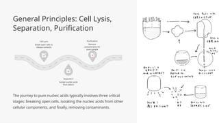 Isolation-of-Nucleic-Acids-DNA-and-RNA-Extraction.pptx