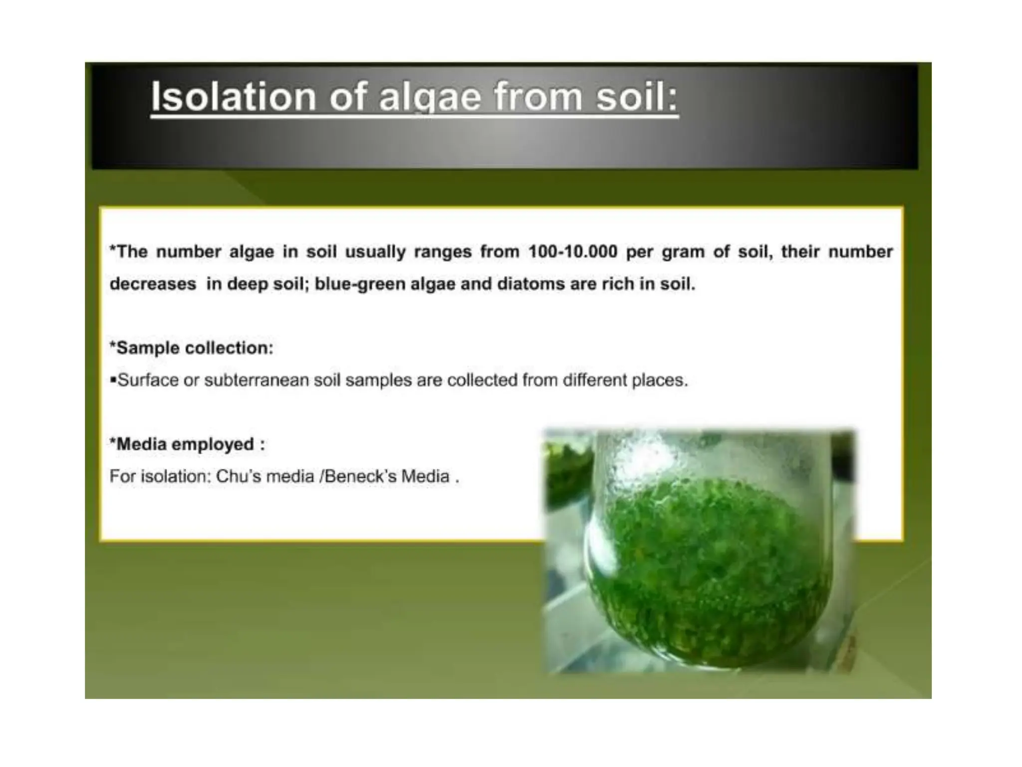 Isolation and characterization, Culture Media & Harvesting of Algae | PPTX