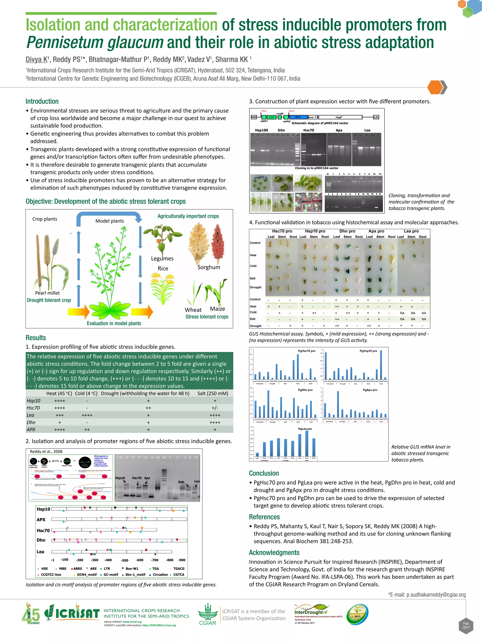 Isolation and characterization of stress inducible promoters from ...
