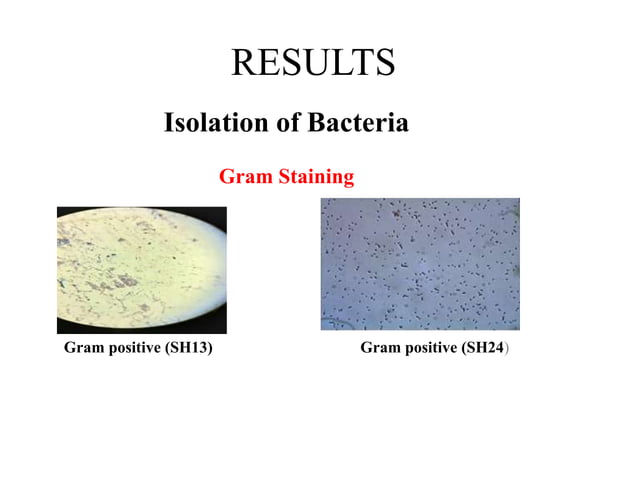 Isolation and characterization of Bacillus species with probiotic (1 ...