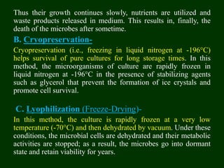 Isolation and characterization of microbes | PPTX