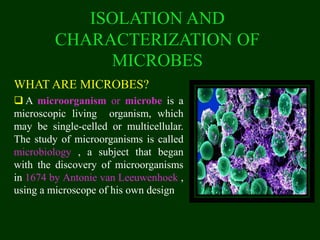 Isolation and characterization of microbes | PPTX