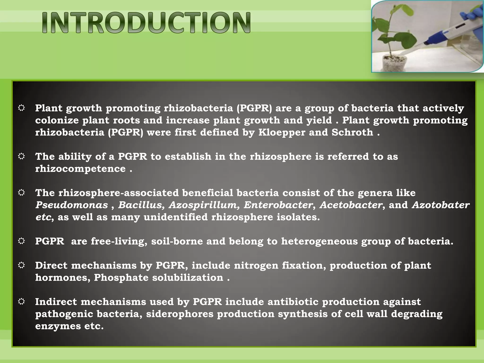 Isolation and characterization of plant growth promoting rhizobacteria ...