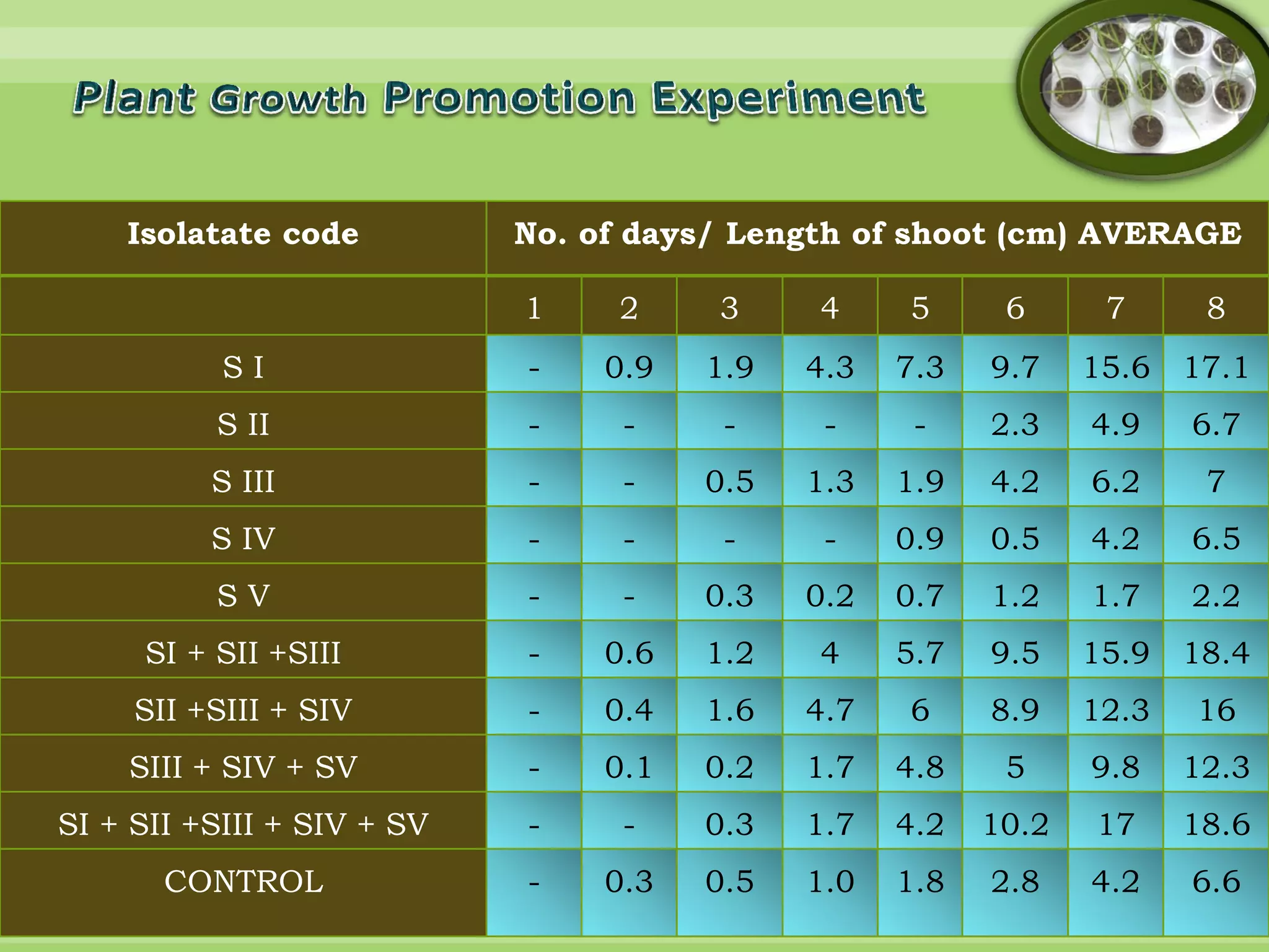 Isolation and characterization of plant growth promoting rhizobacteria ...