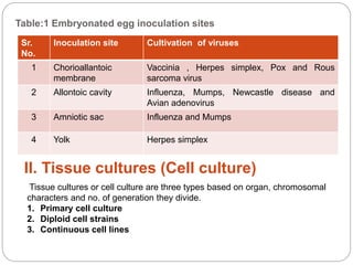 Isolation and cultivation of animal and plant viruses | PPTX