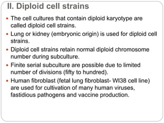 Isolation and cultivation of animal and plant viruses | PPTX