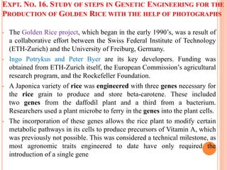 Isolation of plant genomic DNA | PPT