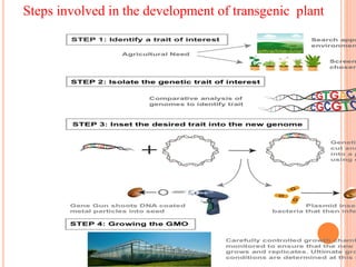 Isolation of plant genomic DNA | PDF