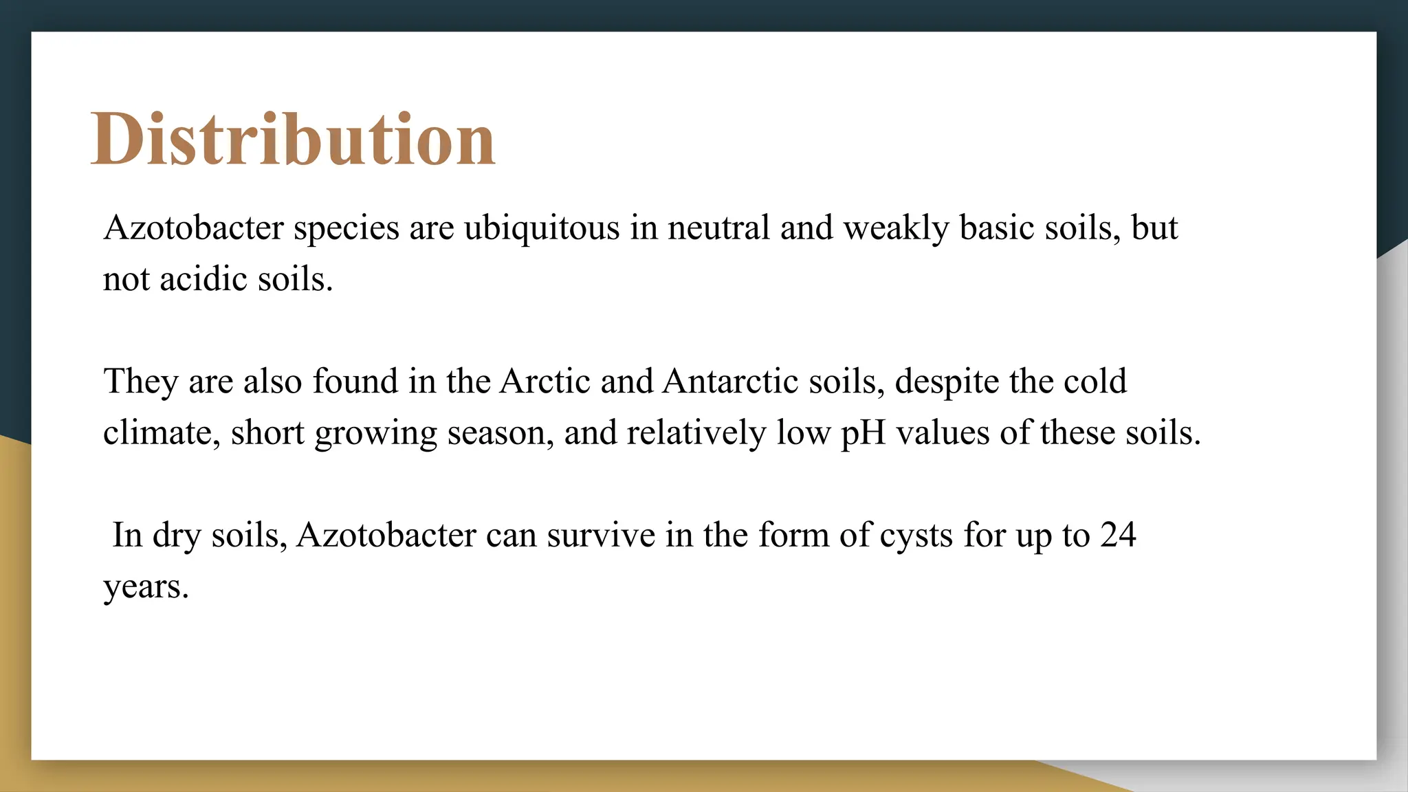Isolation and Identification of Azotobacter (1).pptx
