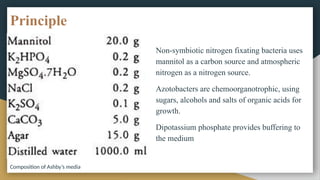 Isolation and Identification of Azotobacter (1).pptx