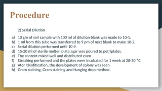 Isolation and Identification of Azotobacter (1).pptx