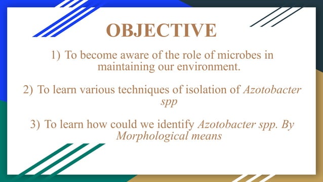Isolation and Identification of Azotobacter (1).pptx