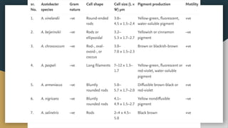 Isolation and Identification of Azotobacter (1).pptx