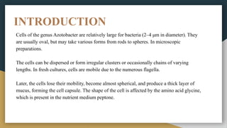 Isolation and Identification of Azotobacter (1).pptx