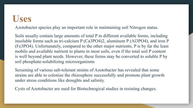 Isolation and Identification of Azotobacter (1).pptx