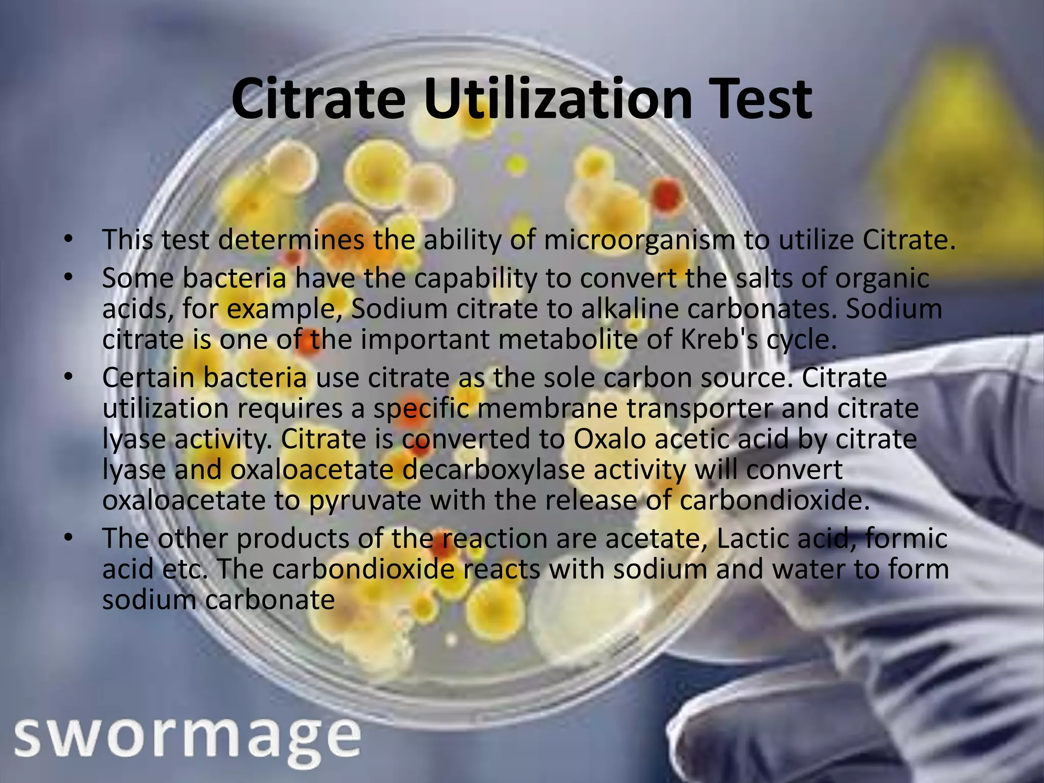 Isolation and identification of bacteria by sworna | PPTX