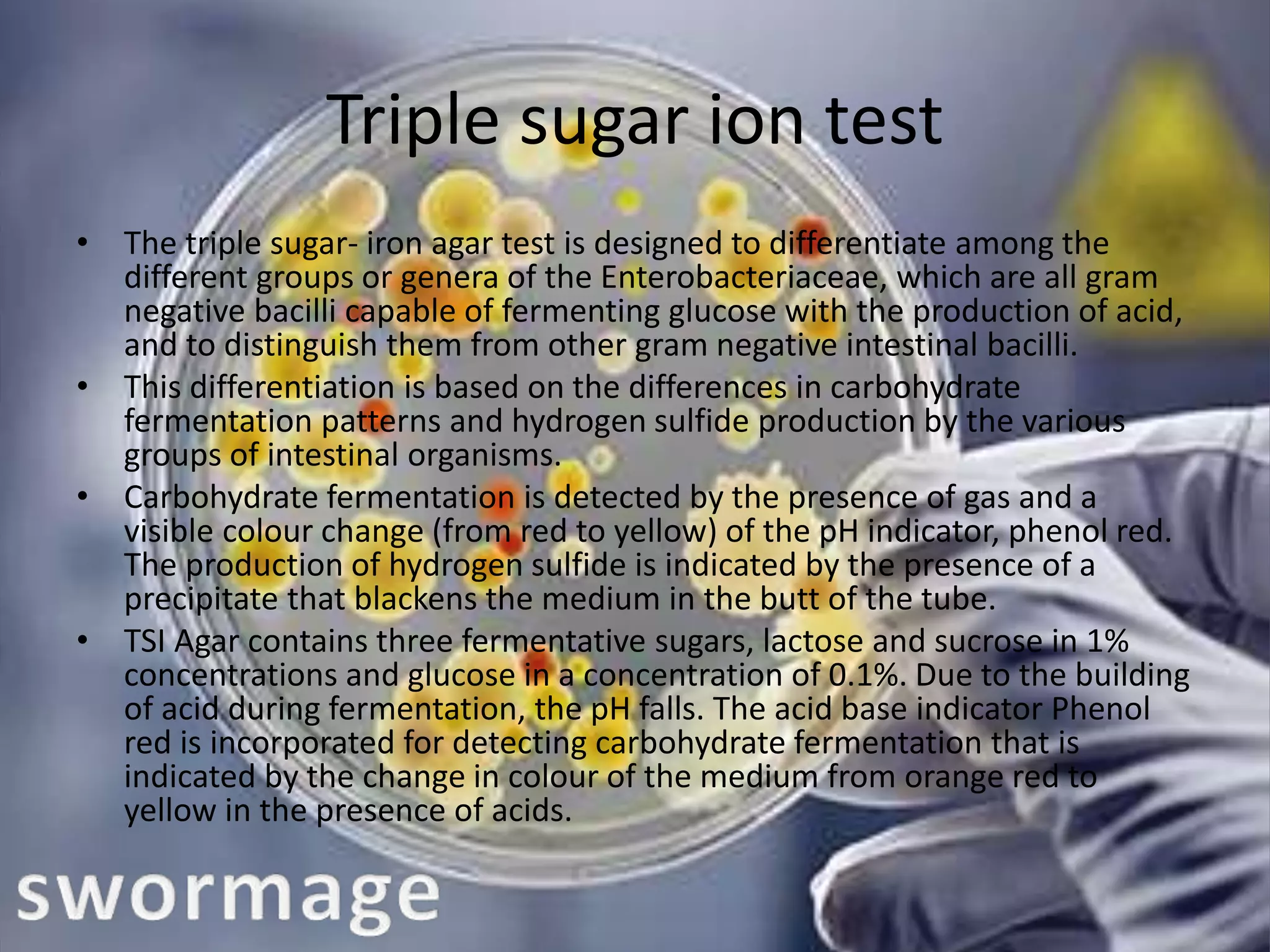 Isolation and identification of bacteria by sworna | PPTX