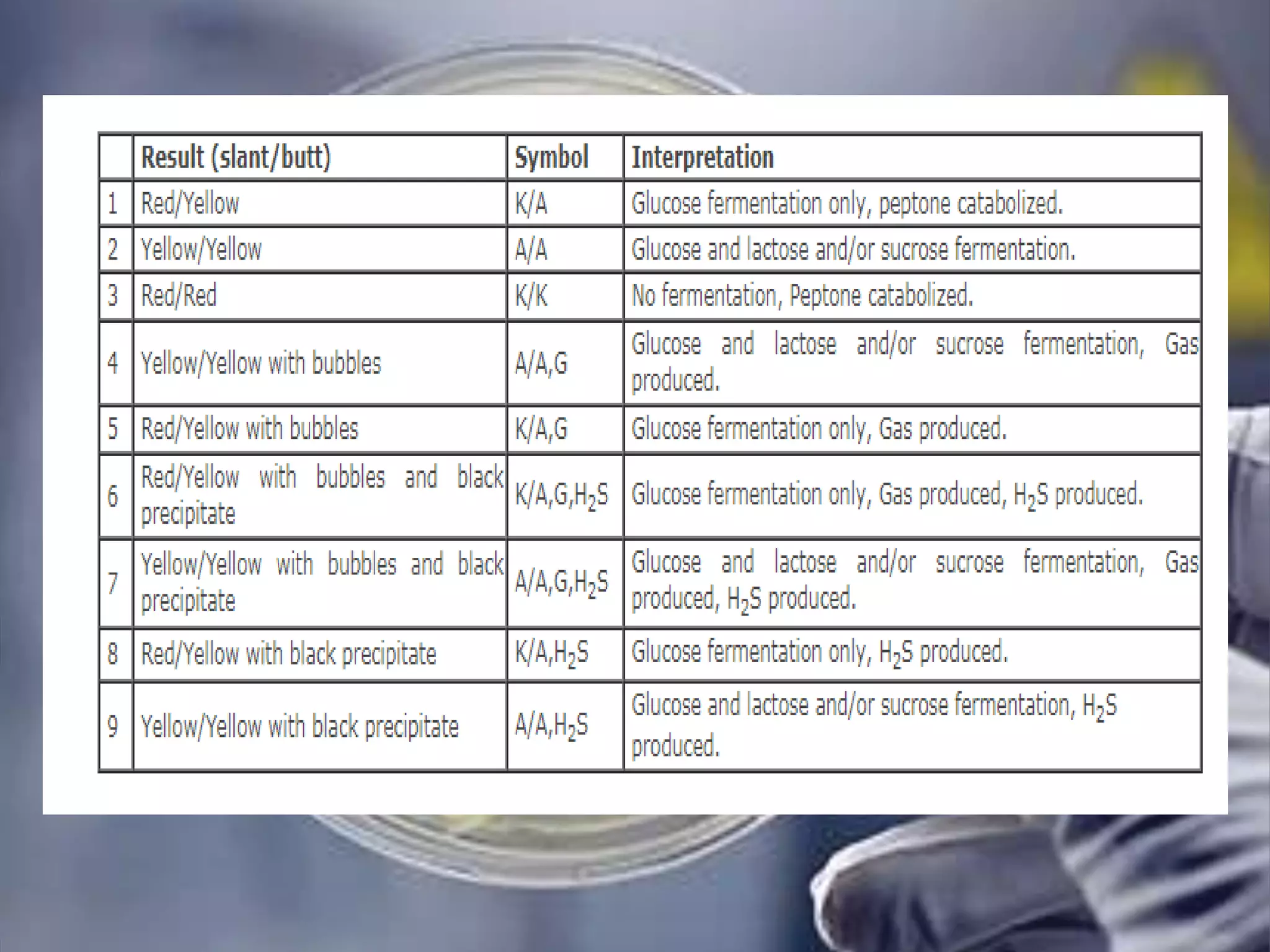 Isolation and identification of bacteria by sworna | PPTX