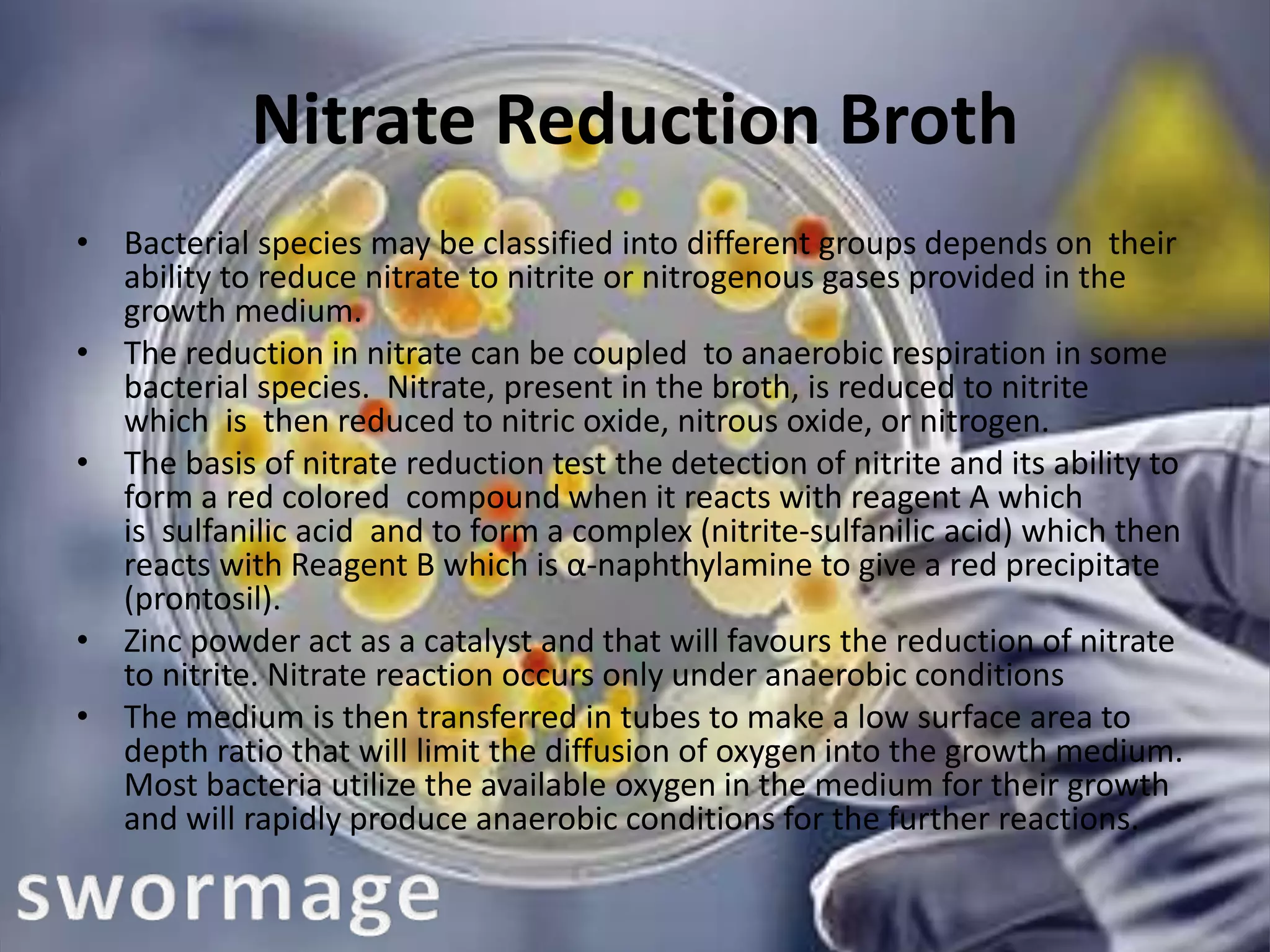 Isolation and identification of bacteria by sworna | PPTX