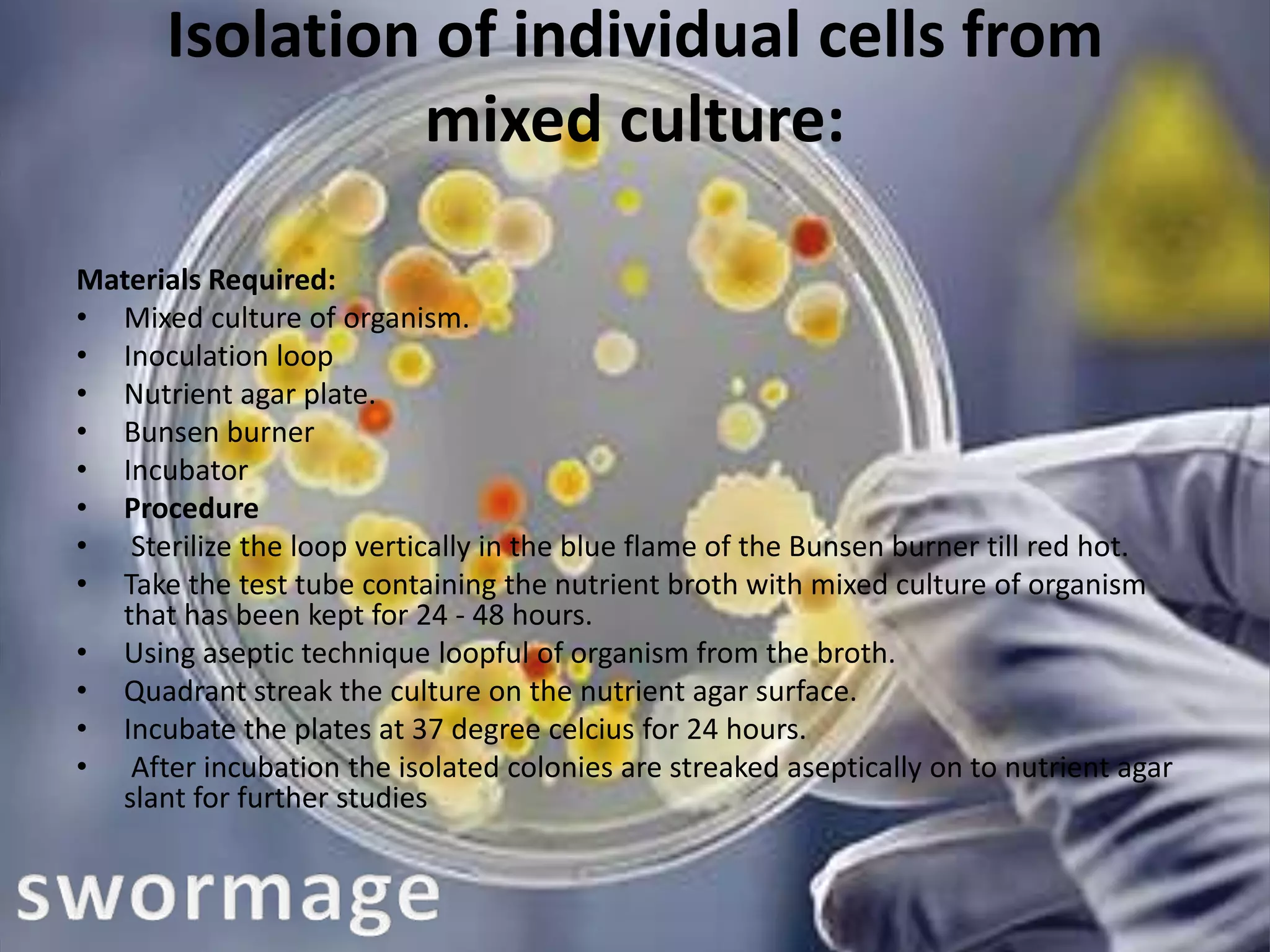Isolation and identification of bacteria by sworna | PPTX