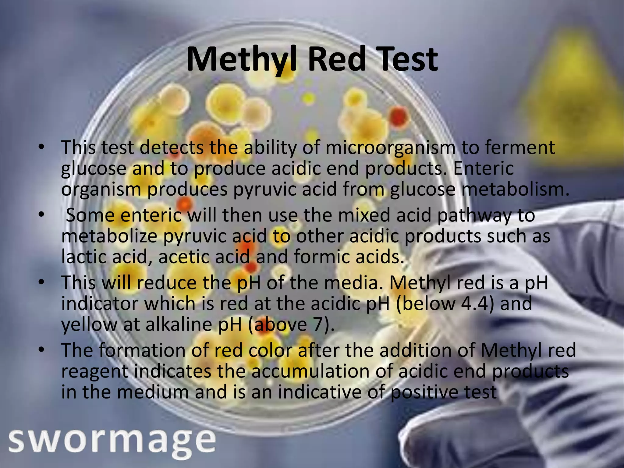 Isolation and identification of bacteria by sworna | PPTX