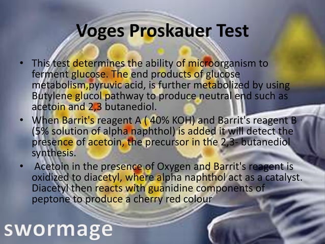 Isolation and identification of bacteria by sworna | PPTX | Chemistry ...
