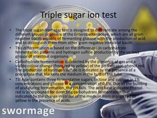 Isolation and identification of bacteria by sworna | PPTX | Chemistry ...