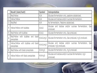 Isolation and identification of bacteria by sworna | PPTX