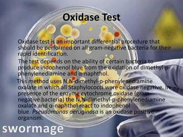 Isolation and identification of bacteria by sworna | PPTX | Chemistry ...