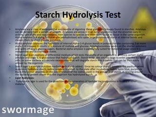 Isolation and identification of bacteria by sworna | PPTX