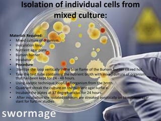 Isolation and identification of bacteria by sworna | PPTX