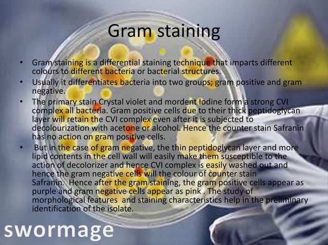 Isolation and identification of bacteria by sworna | PPTX | Chemistry ...