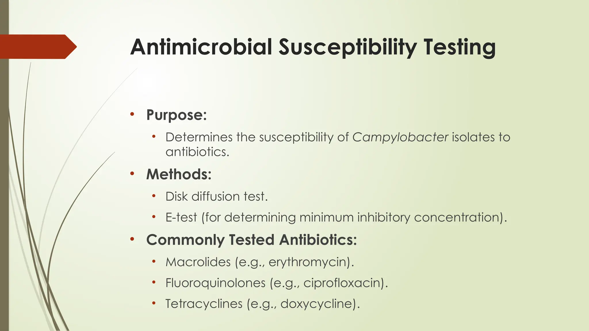 Isolation and identification of Campylobacter bacteria.pptx