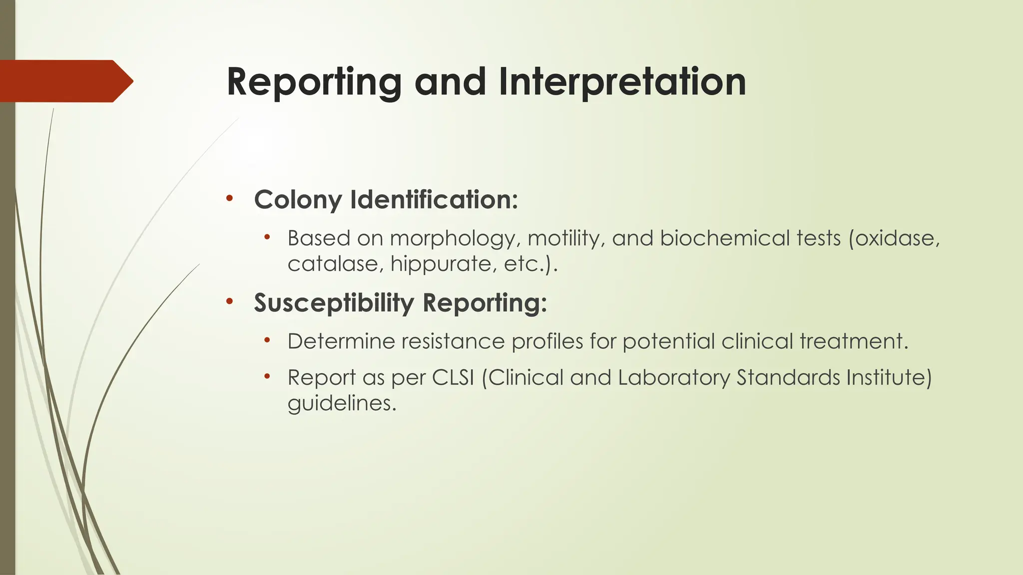 Isolation and identification of Campylobacter bacteria.pptx