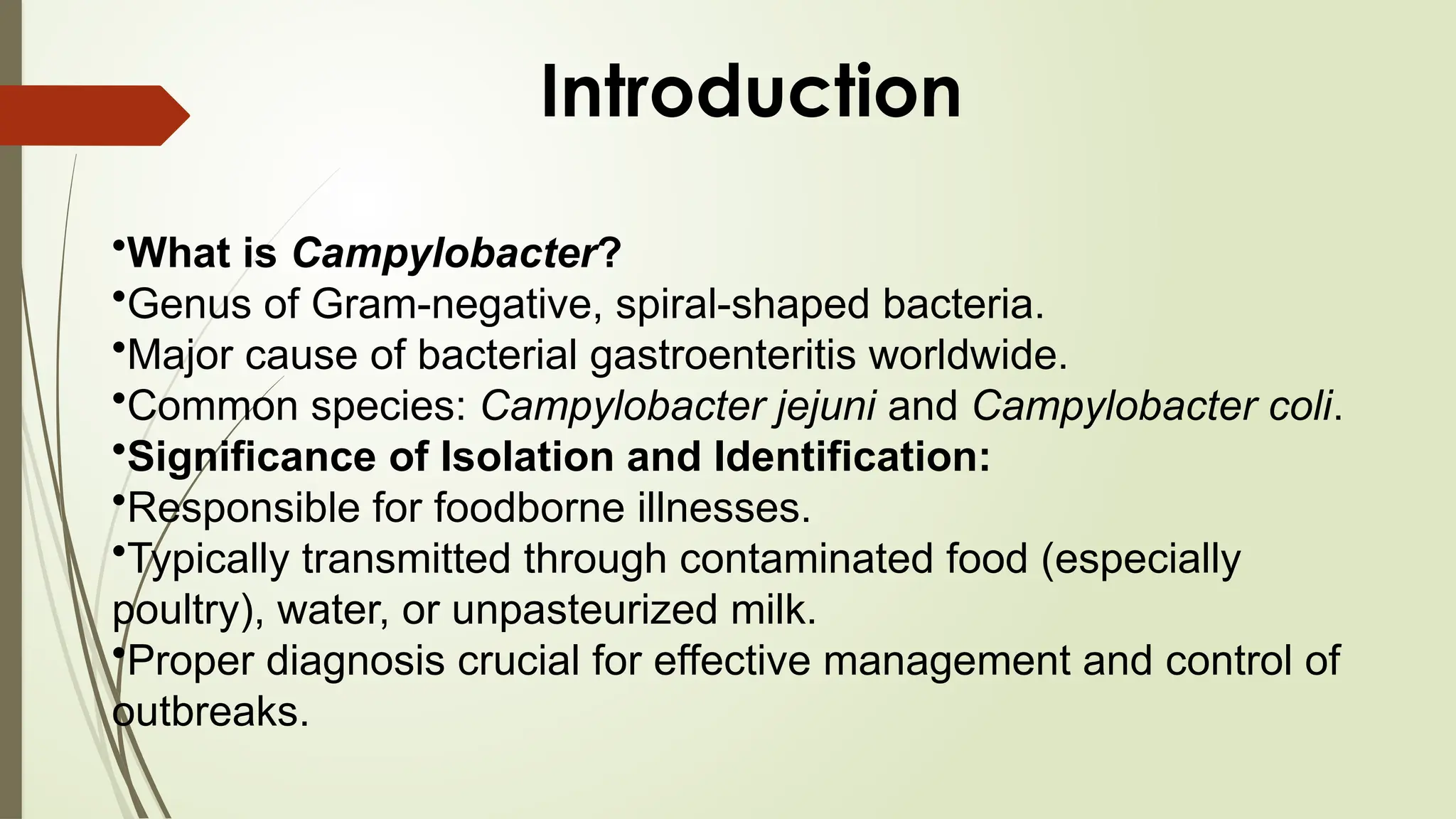 Isolation and identification of Campylobacter bacteria.pptx