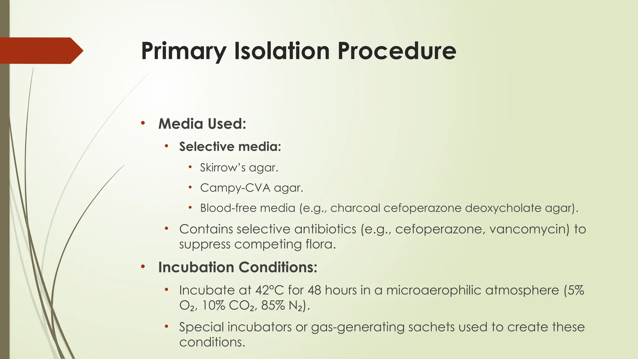 Isolation and identification of Campylobacter bacteria.pptx
