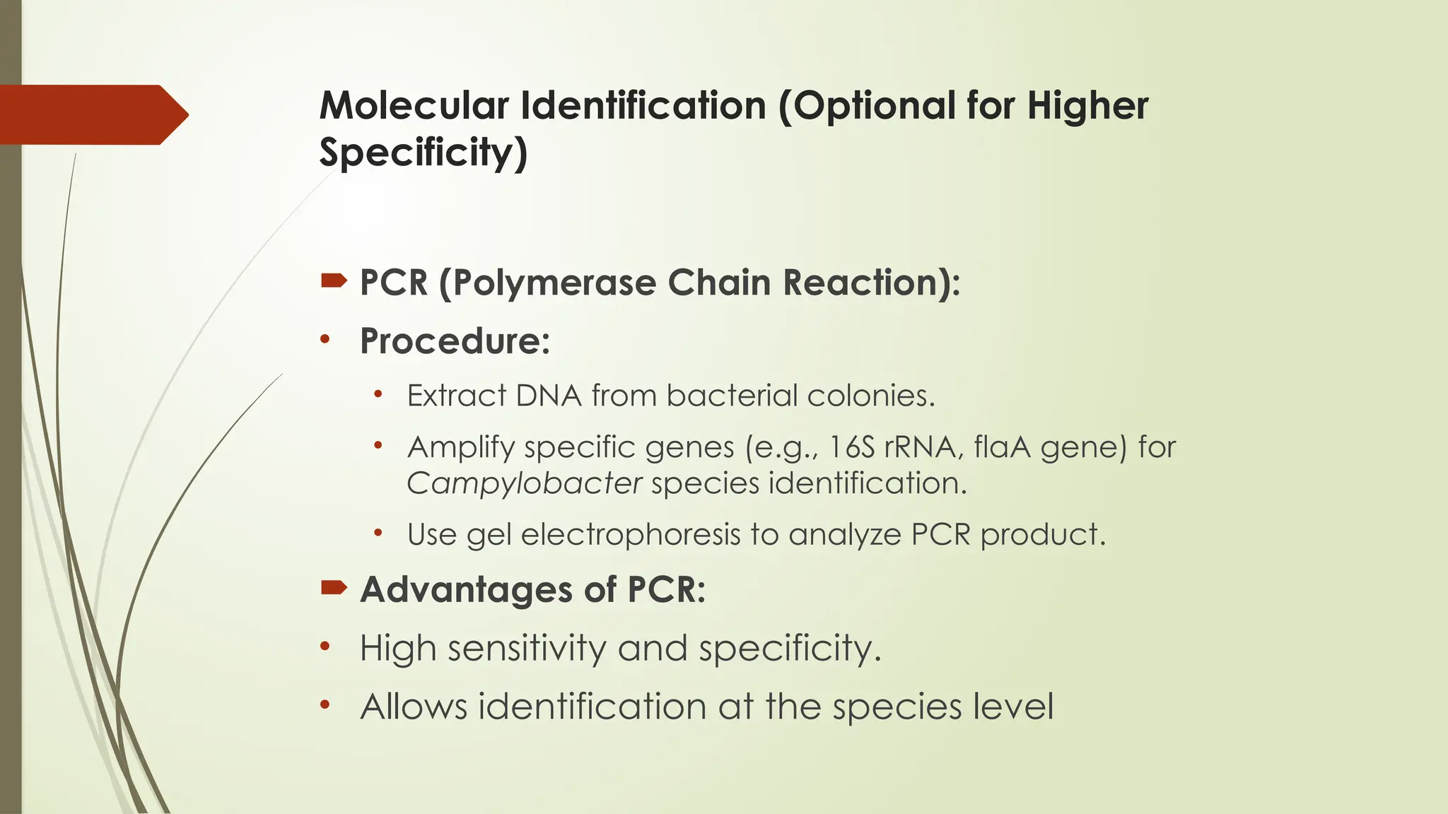 Isolation and identification of Campylobacter bacteria.pptx